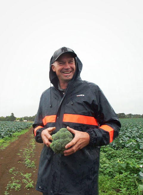 Our growers – T&G Global