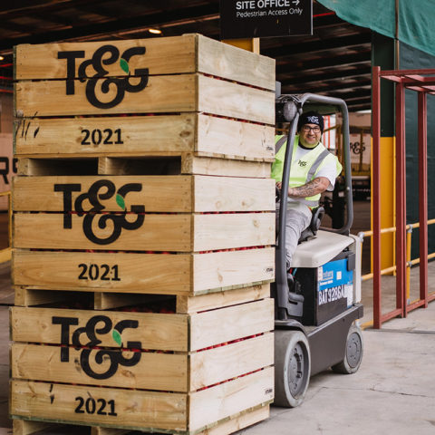 Our people – T&G Global