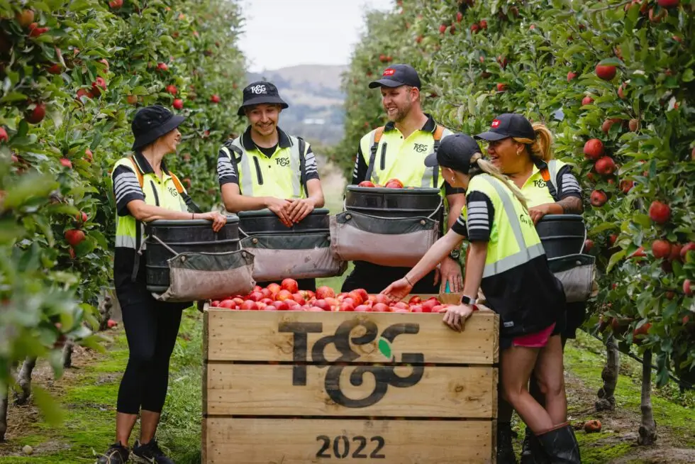 Our people – T&G Global